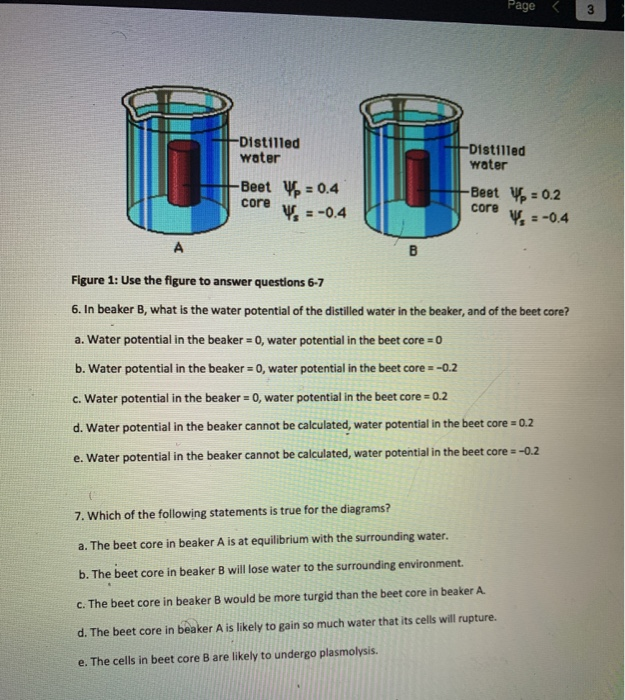 Solved Page