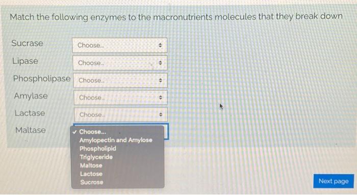 Solved Match the following enzymes to the macronutrients | Chegg.com