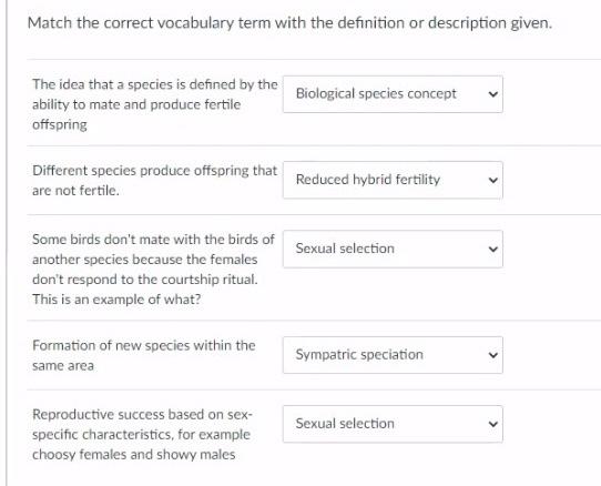 Solved Match the correct vocabulary term with the definition | Chegg.com