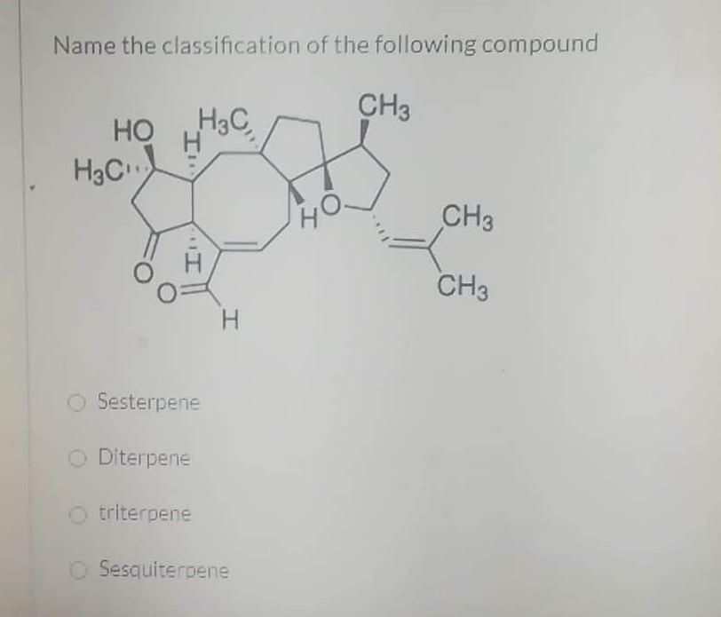 Solved Name the classification of the following compound CH3 | Chegg.com
