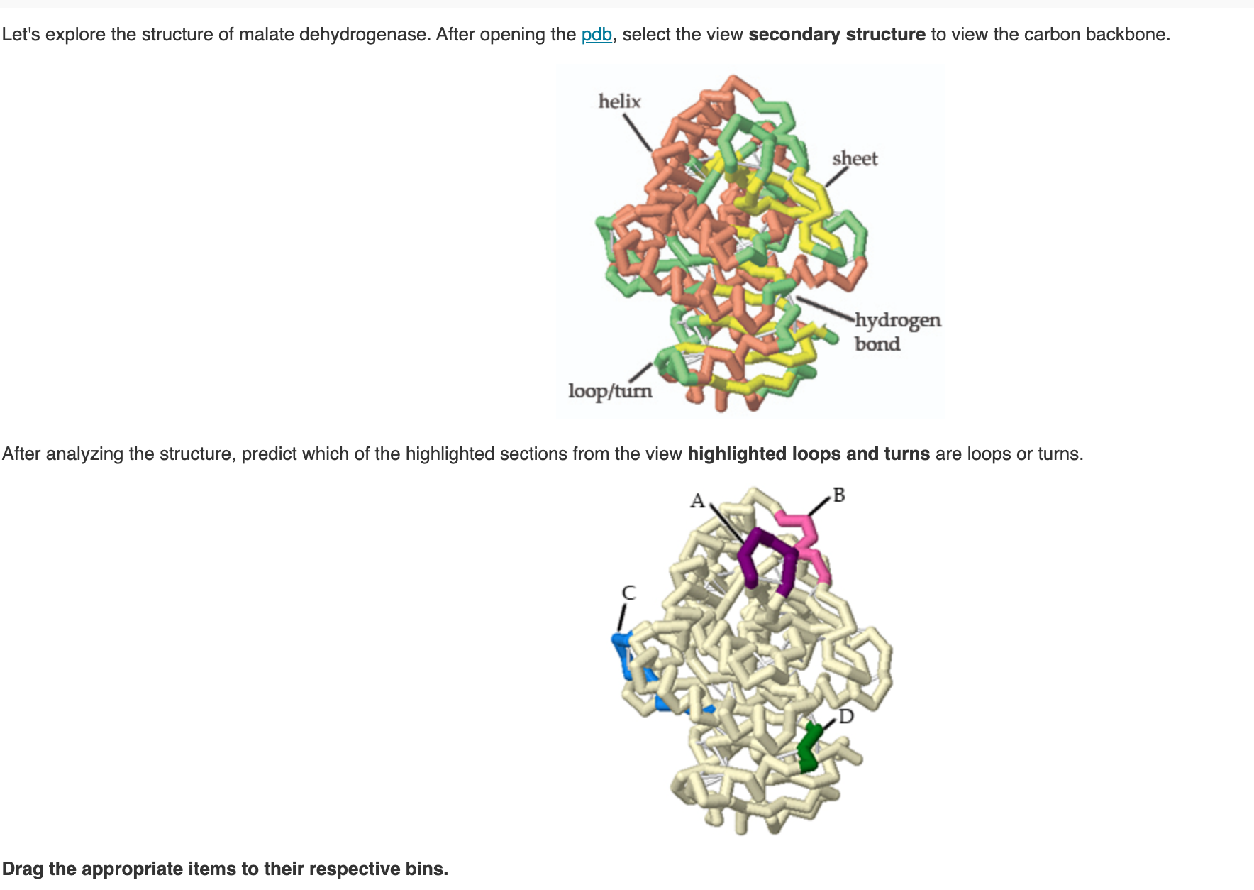 Solved Let's explore the structure of malate dehydrogenase. | Chegg.com