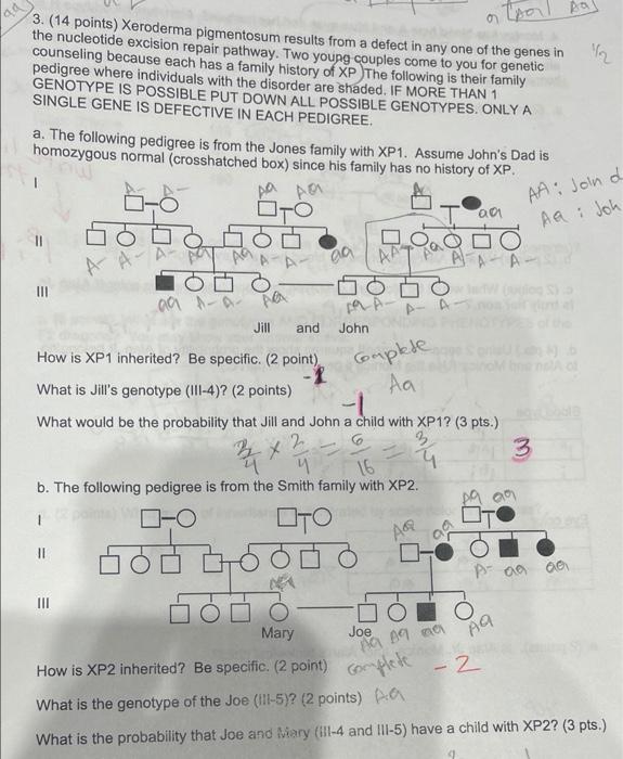 Solved 4 0 12 3. (14 points) Xeroderma pigmentosum results | Chegg.com