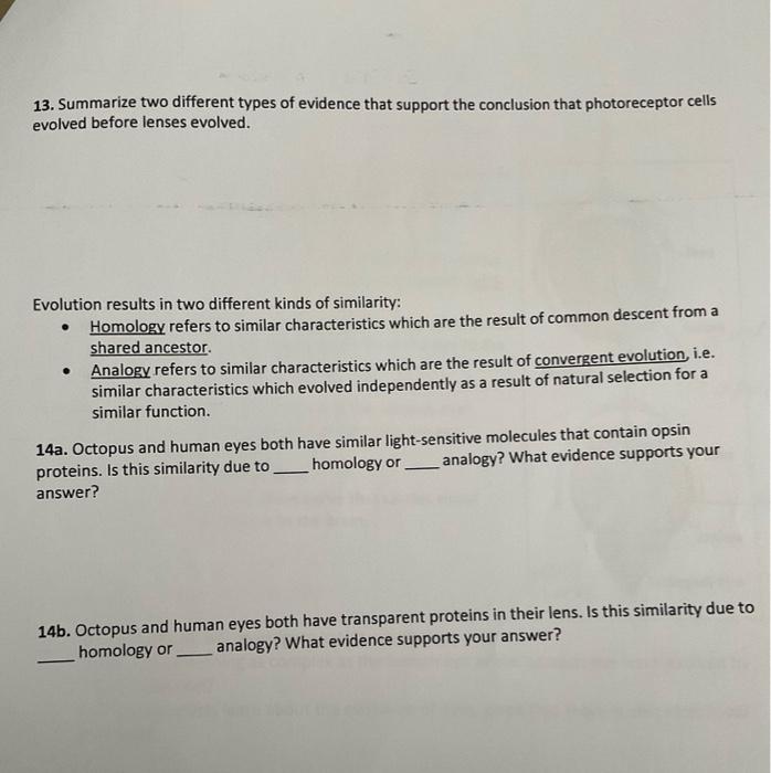 Solved Evolution of the Human Eye Human eves are complex | Chegg.com