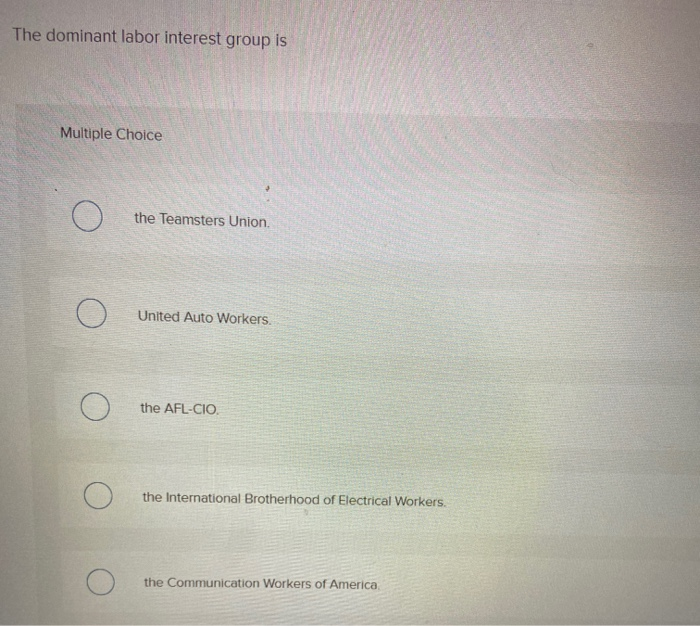 Solved The dominant labor interest group is Multiple Choice | Chegg.com