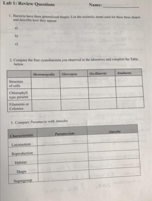 Solved 1. Bacteria have three generalized shapes. List the | Chegg.com