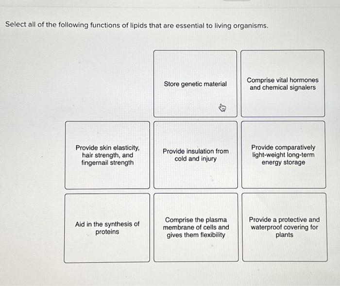 Solved Select all of the following functions of lipids that | Chegg.com
