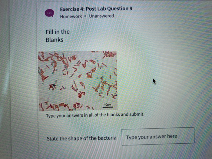 Solved Questi Exercise 4: Post Lab Question 1 Homework. | Chegg.com