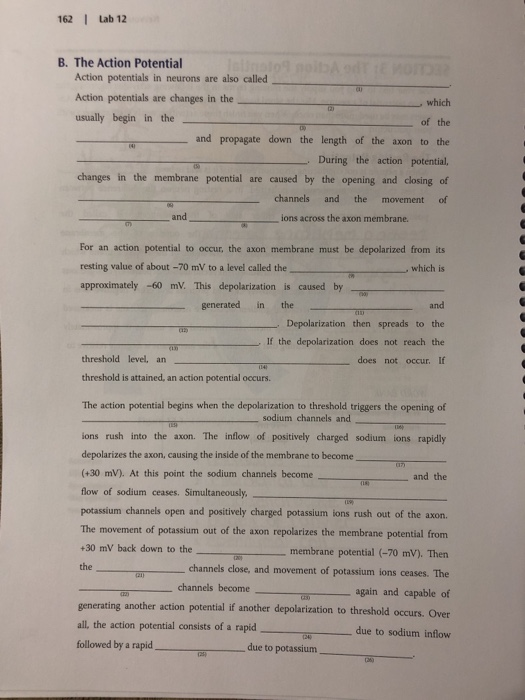 Solved 162 Lab 12 B. The Action Potential Action potentials | Chegg.com