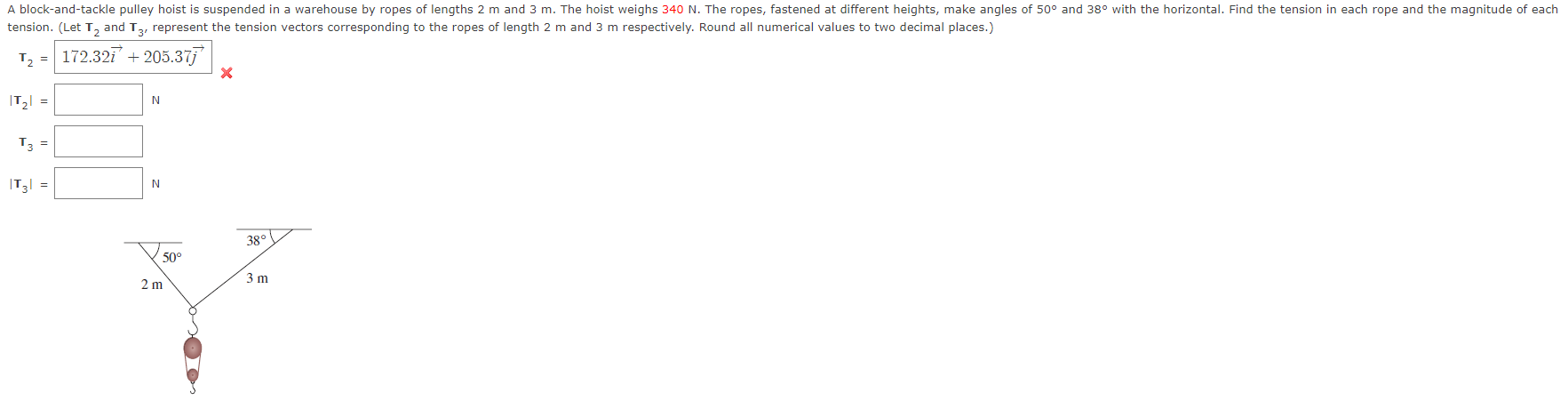 Solved tension. (Let T2 ﻿and T3, ﻿represent the tension | Chegg.com