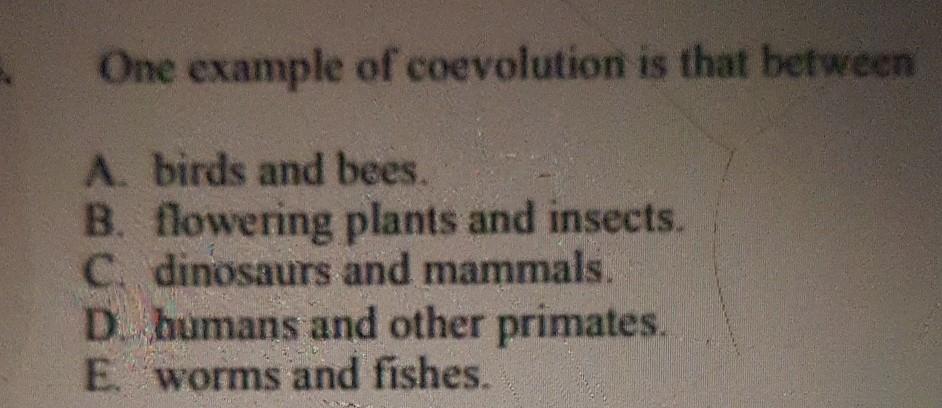Solved One example of coevolution is that between A birds | Chegg.com