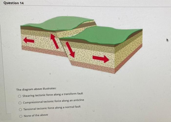 Solved out Question 13 Plate 1 Plate ? LOG or C) Question | Chegg.com