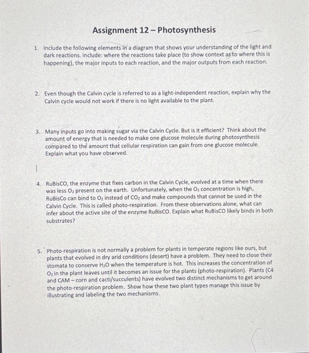 Solved 1. Include the following elements in a diagram that | Chegg.com