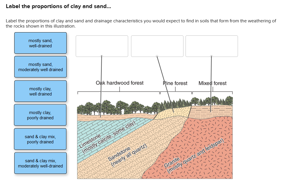 Solved Label the proportions of clay and sand...Label the | Chegg.com