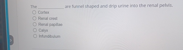 Solved The ﻿are funnel shaped and drip urine into the | Chegg.com