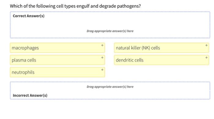 Solved Which of the following cell types engulf and degrade | Chegg.com