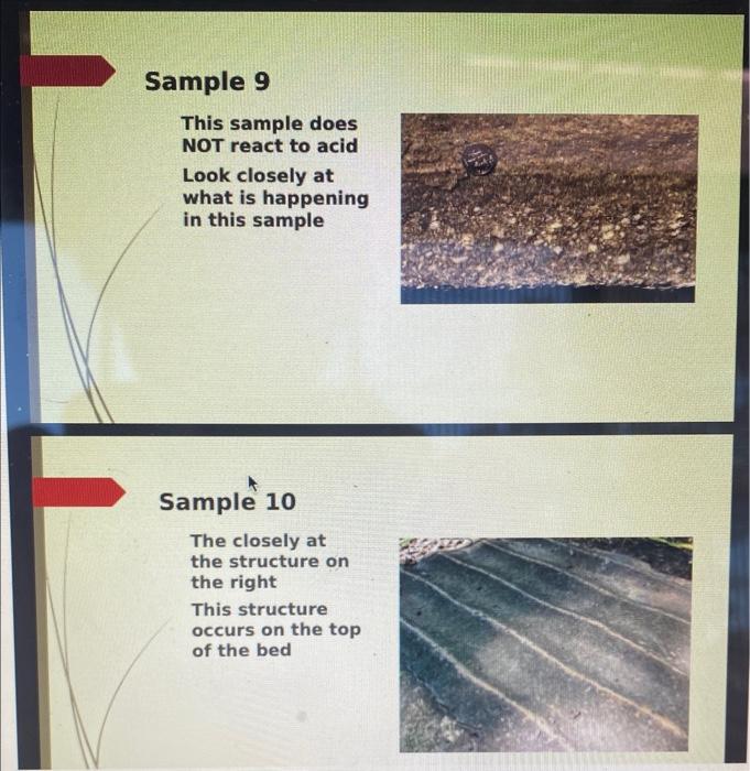 Solved Using the sedimentary structures provided in the lab, | Chegg.com