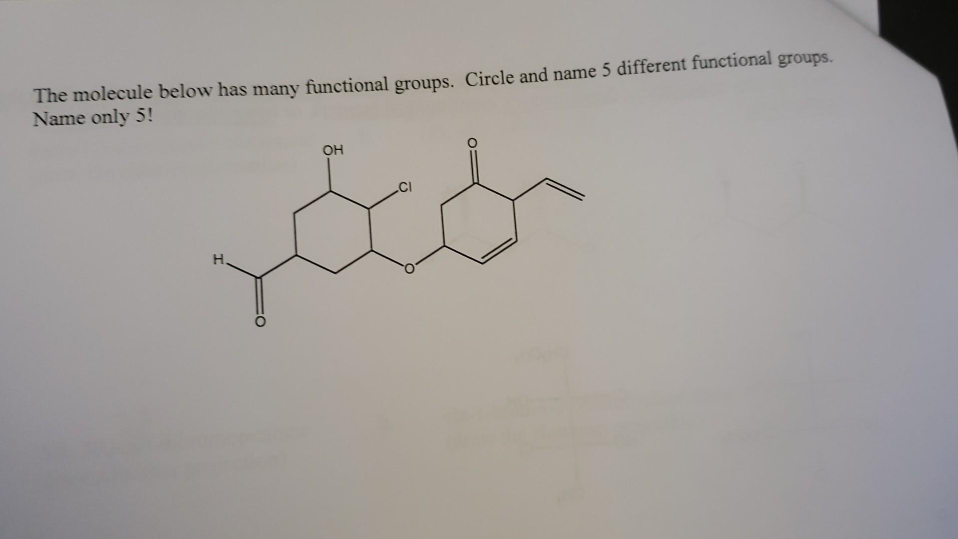 Solved The molecule below has many functional groups. Circle | Chegg.com