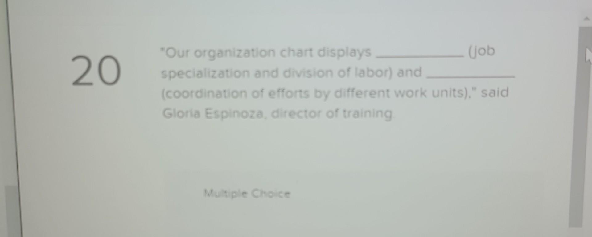 Solved "Our organization chart displays (job specialization | Chegg.com