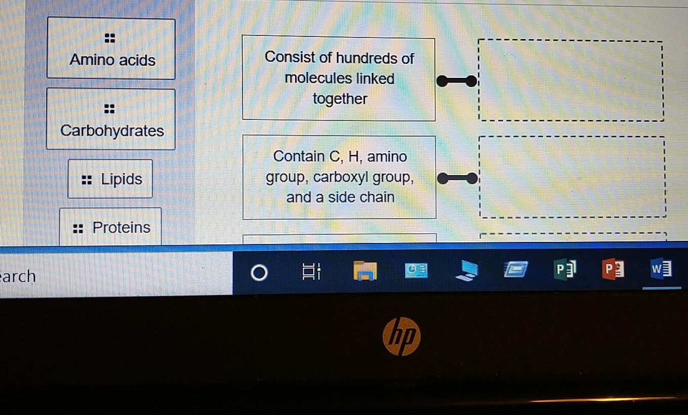 Solved Amino acids Consist of hundreds of molecules linked | Chegg.com