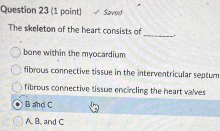 Solved The skeleton of the heart consists of bone within the | Chegg.com