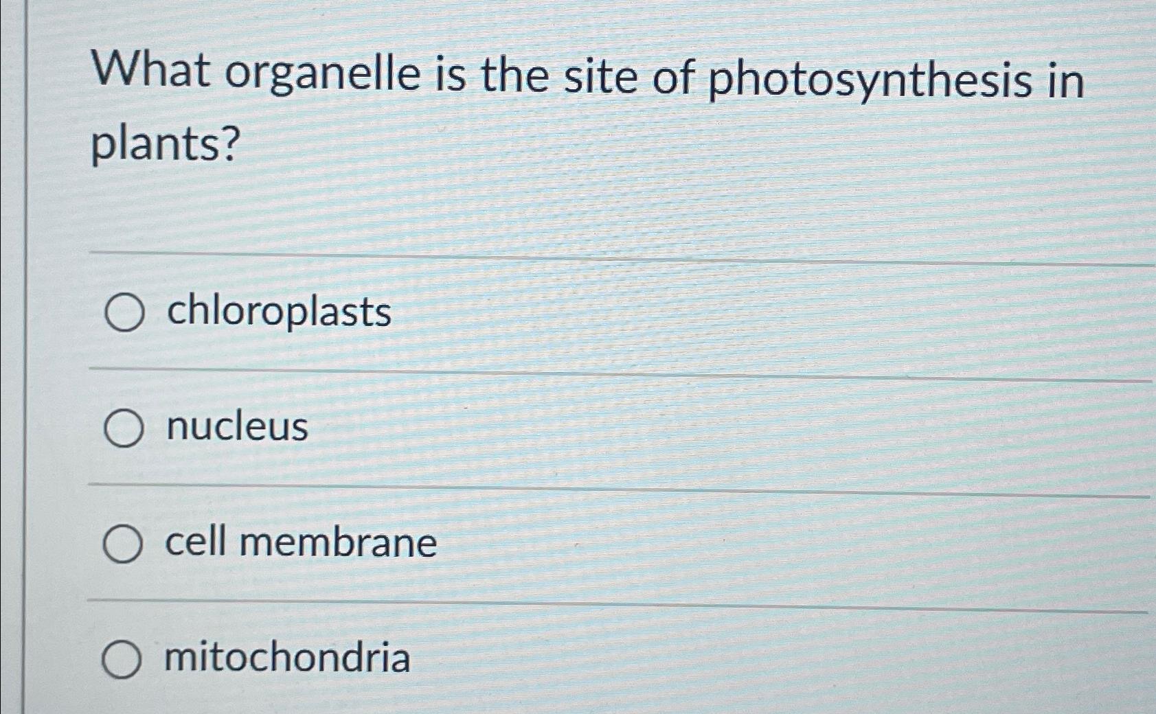 Solved What organelle is the site of photosynthesis in | Chegg.com