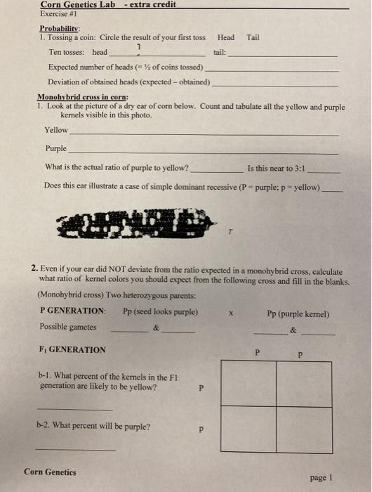Corn Genetics Lab Exercise #1 - extra credit | Chegg.com