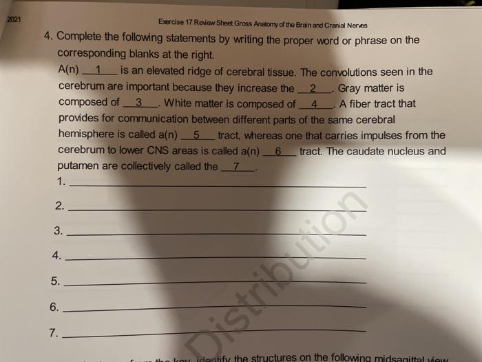 Solved 2021 Exercise 17 Review Sheet Gross Anatory of the | Chegg.com