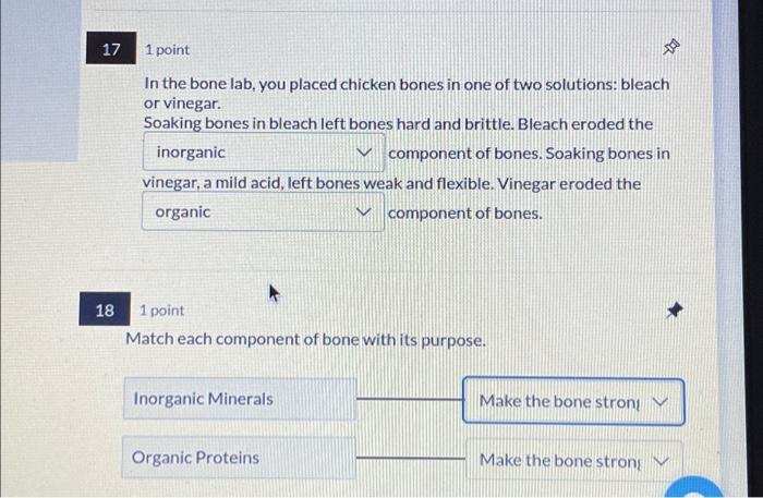 Solved 17 18 1 point In the bone lab, you placed chicken | Chegg.com