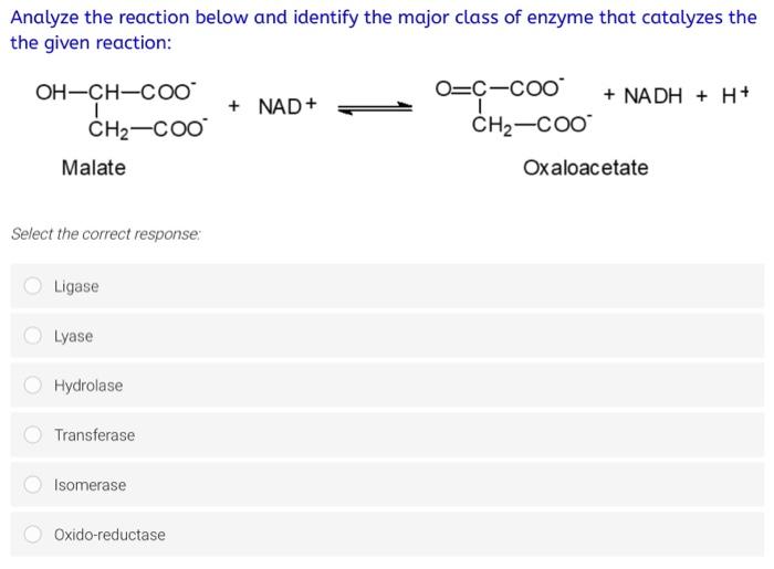 Solved Analyze the reaction below and identify the major | Chegg.com