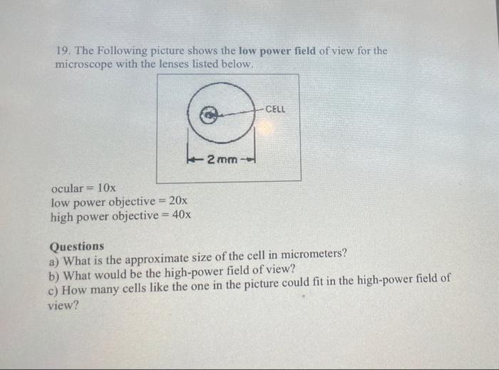 Solved 19. The Following picture shows the low power field | Chegg.com