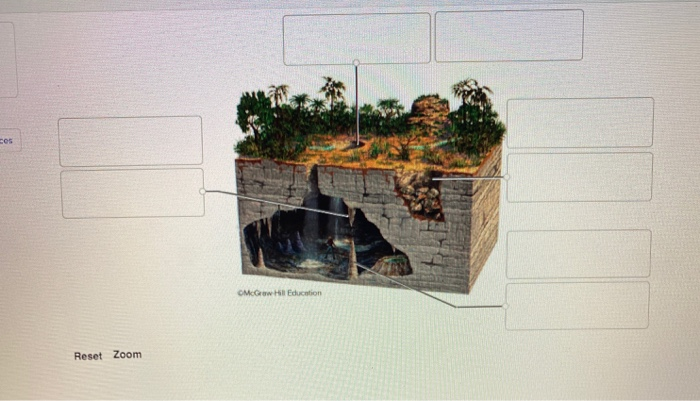 Solved 17 This figure shows features commonly found in | Chegg.com