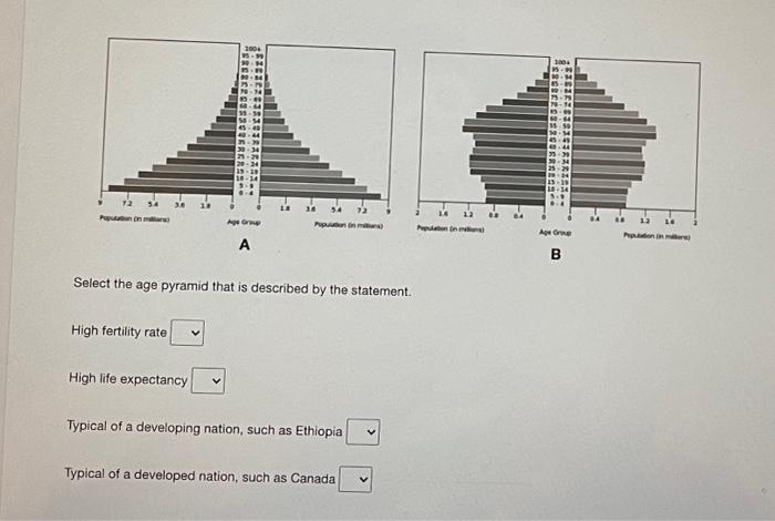 Select the age pyramid that is described by the | Chegg.com