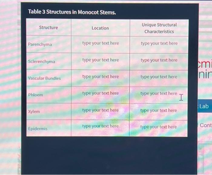 Solved Table 3 Structures in Monocot Stems. Structure | Chegg.com