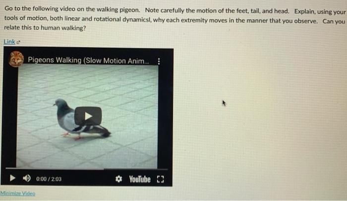 Solved Go to the following video on the walking pigeon. Note | Chegg.com