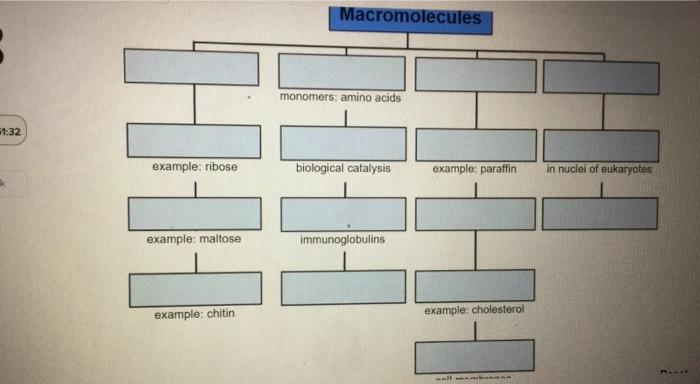 Solved Move the terms into the correct empty boxes to | Chegg.com