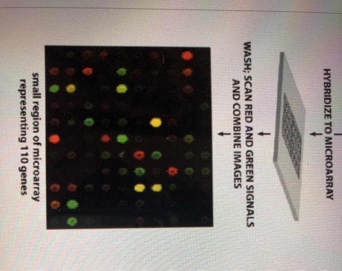 Solved Microarray is a widely used genomic method to compare | Chegg.com