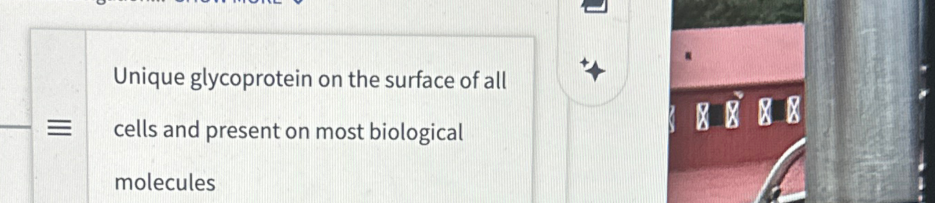 Solved Unique glycoprotein on the surface of all cells and | Chegg.com