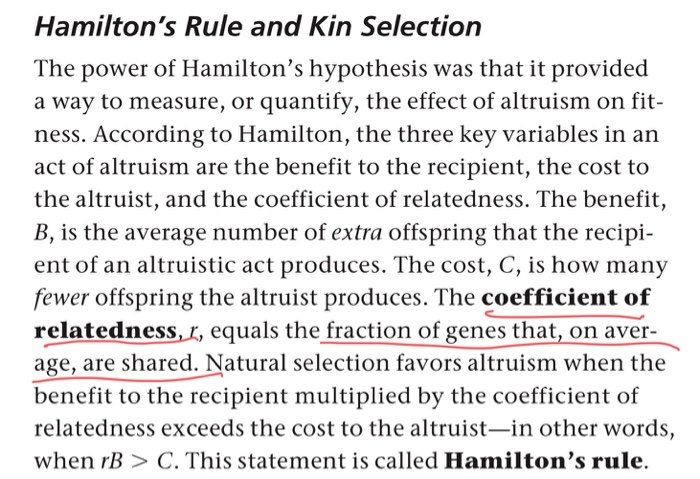 Solved I chose (D) because of the rule is the calculation of | Chegg.com