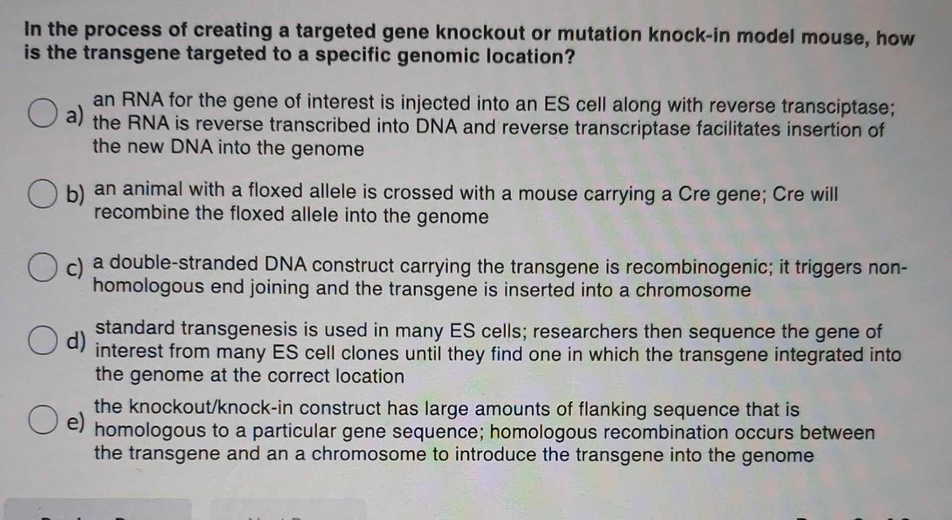 Solved In the process of creating a targeted gene knockout | Chegg.com