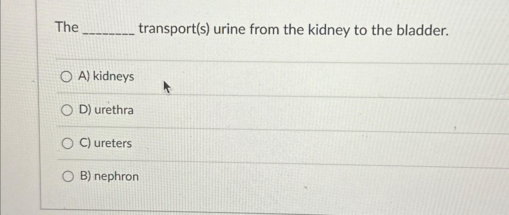 Solved The transport(s) ﻿urine from the kidney to the | Chegg.com