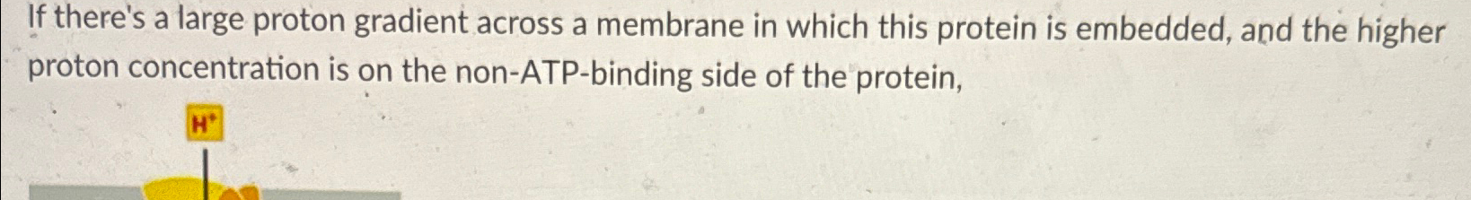 Solved If there's a large proton gradient across a membrane | Chegg.com