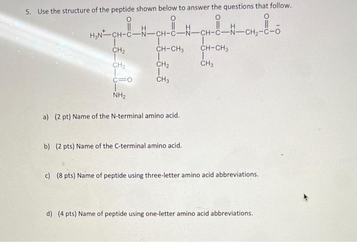 Solved 5. Use the structure of the peptide shown below to | Chegg.com