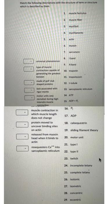 Solved Match the following descriptions with the structure | Chegg.com