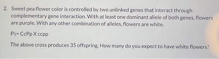 Solved 2. Sweet pea flower color is controlled by two | Chegg.com