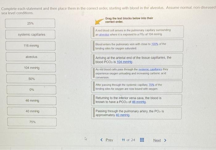Solved complete each statement and then place them in the | Chegg.com
