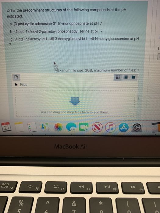 Solved Draw the predominant structures of the following | Chegg.com