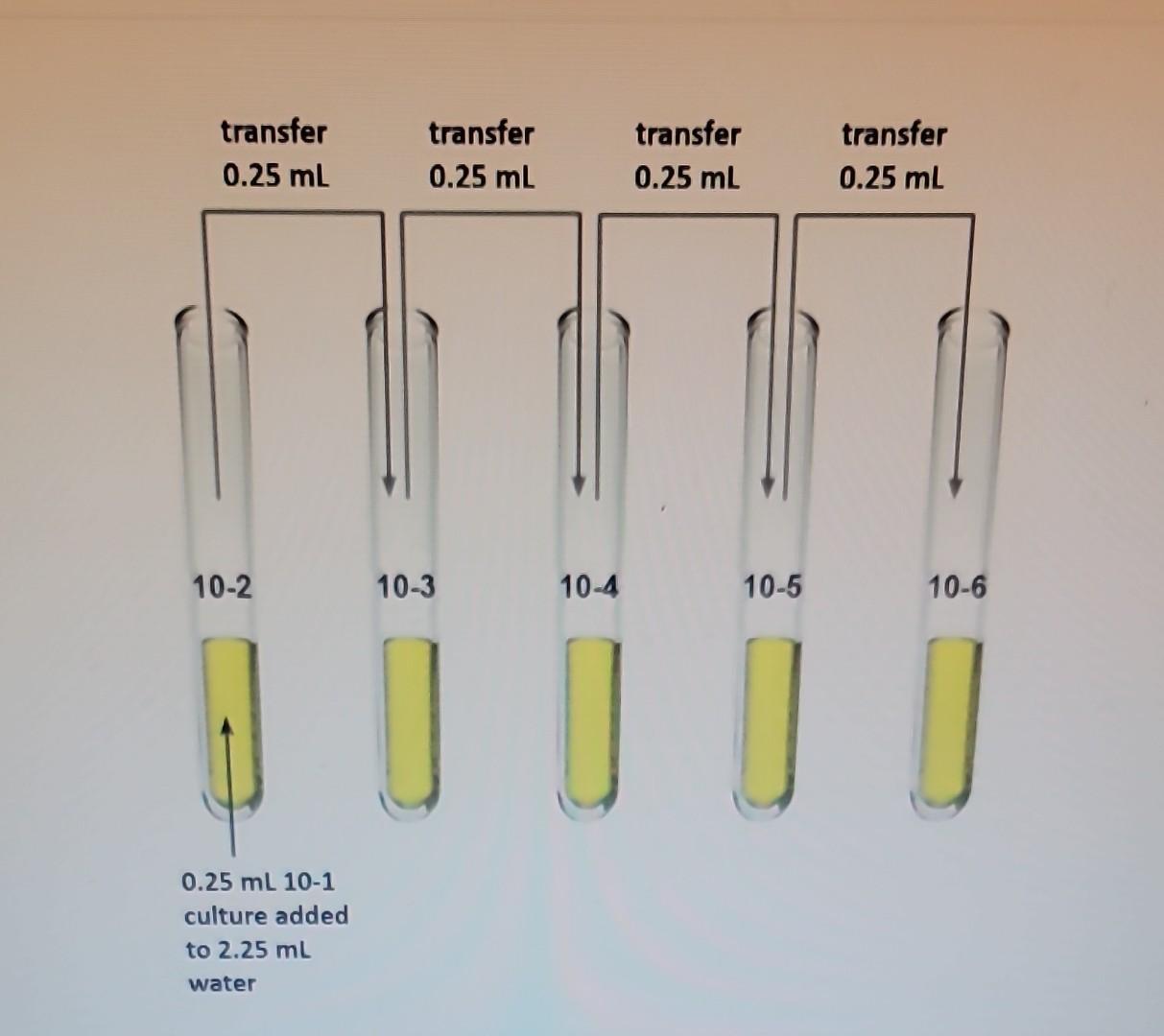 0.125 mL was transferred to the agar plate. I need | Chegg.com