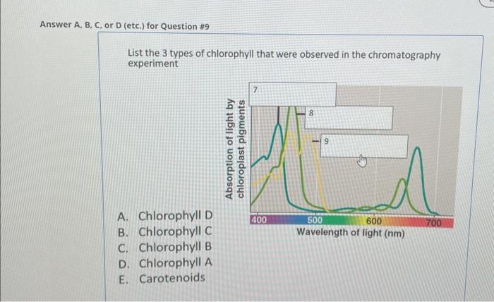 Solved List the 3 types of chlorophyll that were observed in | Chegg.com