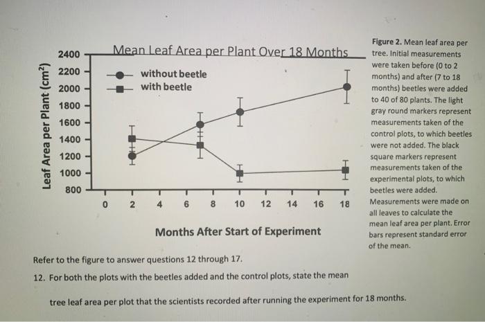Solved 2400 Mean Leaf Area per Plant Over 18 Months 2200 | Chegg.com