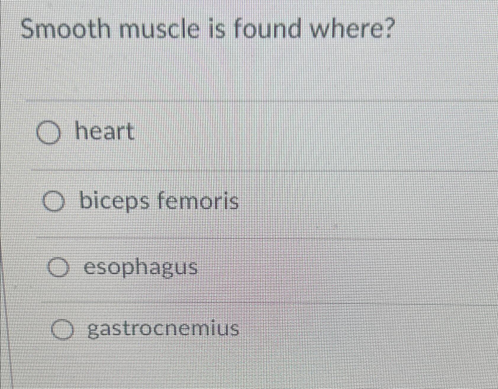 Smooth muscle is found where?heartbiceps | Chegg.com
